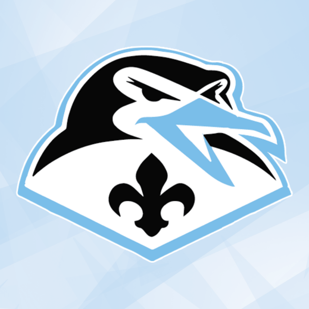 Academy of Our Lady Adopts Mascot Media Platform